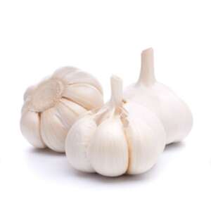 Fresh Garlic (3 pack) - TROPICAL PRODUCE