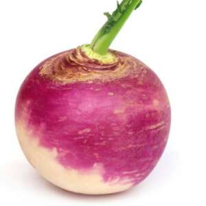 Tropical Produce | Your Local Produce at your door step