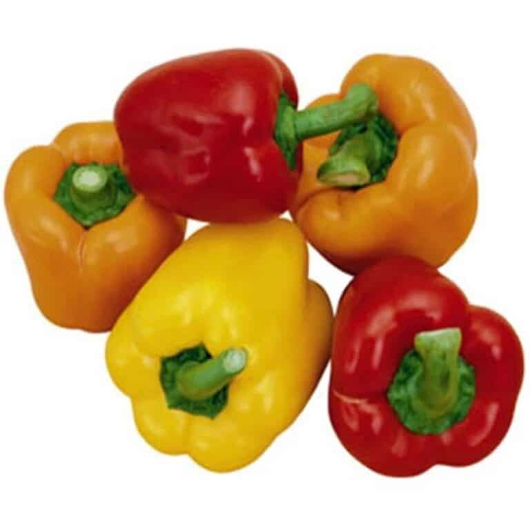 Tropical Produce | Your Local Produce at your door step